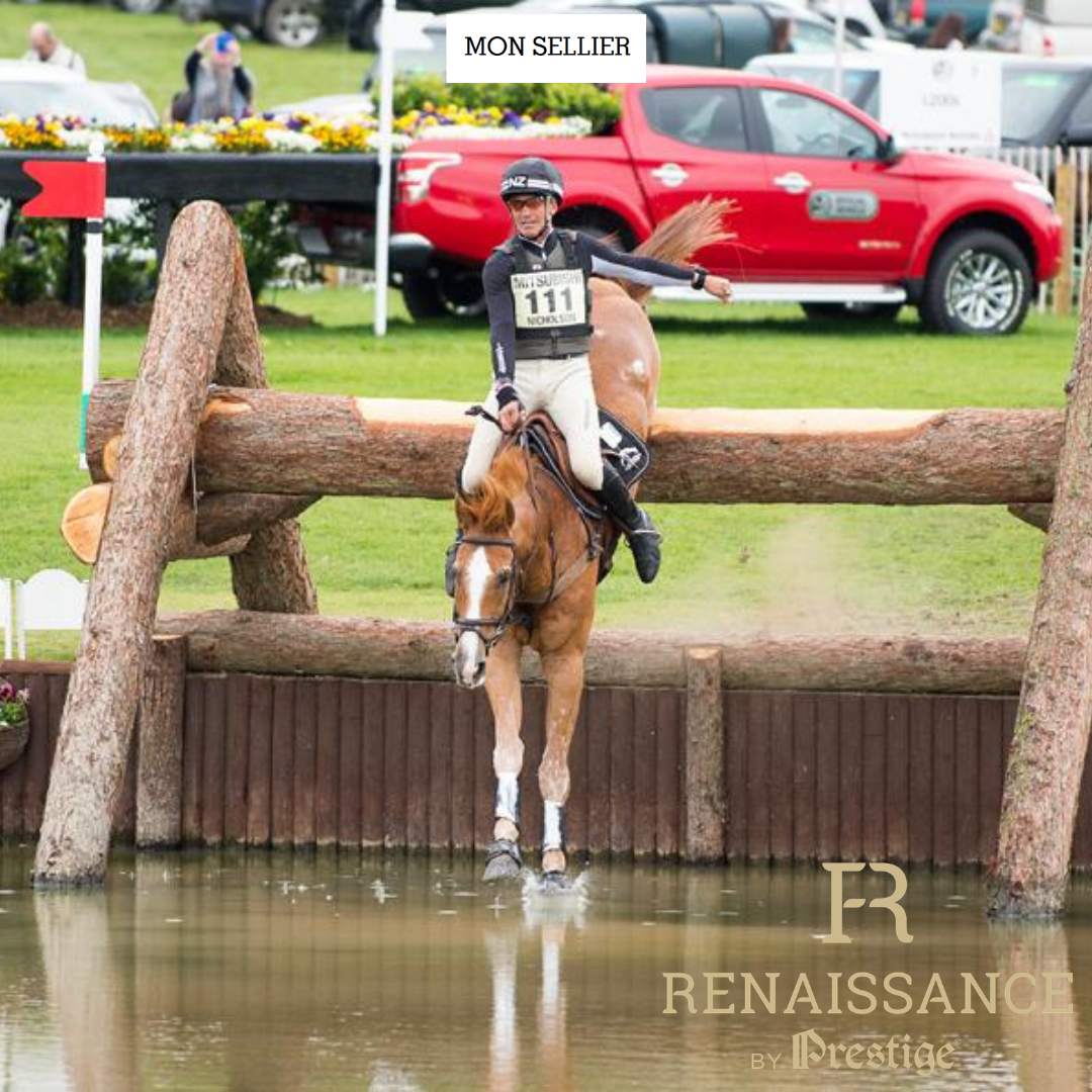 Andrew Nicholson - Renaissance KF & F – Mon Sellier